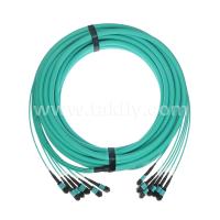 China OM3 OM4 Multimode 72 fibers 6x12F MPO MTP- 6x12F MPO MTP Male Female Fiber Optic Patchcord / Optical Fiber Patch Cable / Optical Breakout Cable/ Optical Fiber Trunk Cable / Optic Fiber Fanout Cable for sale