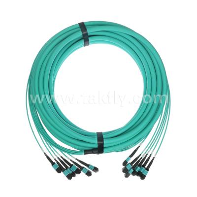 China OM3 OM4 Multimode 72 fibers 6x12F MPO MTP- 6x12F MPO MTP Male Female Fiber Optic Patchcord / Optical Fiber Patch Cable / Optical Breakout Cable/ Optical Fiber Trunk Cable / Optic Fiber Fanout Cable for sale