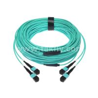 China OM3 OM4 Multimode 24 fibers 2x12F MPO MTP- 2x12F MPO MTP Male Female Fiber Optic Patchcord / Optical Fiber Patch Cable / Optical Breakout Cable/ Optical Fiber Trunk Cable / Optic Fiber Fanout Cable for sale