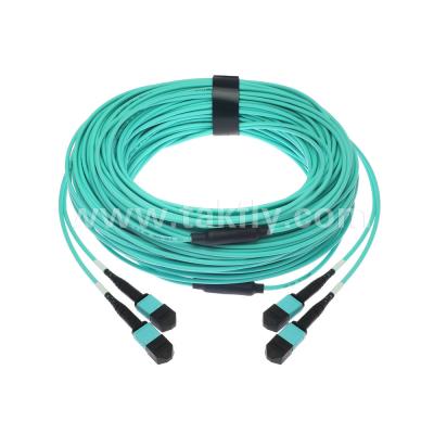 China OM3 OM4 Multimode 24 fibers 2x12F MPO MTP- 2x12F MPO MTP Male Female Fiber Optic Patchcord / Optical Fiber Patch Cable / Optical Breakout Cable/ Optical Fiber Trunk Cable / Optic Fiber Fanout Cable for sale