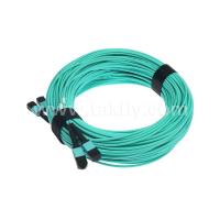 China 2x12F MPO MTP- 2x12F MPO MTP Male Female 24 fiber Optical Breakout Cable OM3 OM4 Multimode Fiber Optic Patchcord /Optical Fiber Patch Cable /Optical Fiber Trunk Cable /Optic Fiber Fanout Cable for sale