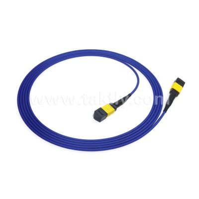 China Armoured Armored 8F 12F 16F 24F MPO MTP Male Female Fiber Optical Breakout Cable Fiber Optic Patchcord/Optical Fiber Patch Cable/Optical Fiber Trunk Cable/Optic Fiber Fanout Cable for sale