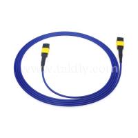 China Steel Armoured Armored Fiber Cable 8F 12F 16F 24F MPO MTP Male Female Fiber Optical Breakout Cable Fiber Optic Patchcord/Optical Fiber Patch Cable/Optical Fiber Trunk Cable/Optic Fiber Fanout Cable for sale