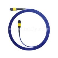 China 8F 12F 16F 24F MPO MTP Male Female Fiber Optical Breakout Cable Fiber Optic Patchcord/Optical Fiber Patch Cable/Optical Fiber Trunk Cable/Optic Fiber Fanout Cable with Steel Armoured Armored tube for sale
