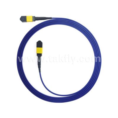 China 8F 12F 16F 24F MPO MTP Male Female Fiber Optical Breakout Cable Fiber Optic Patchcord/Optical Fiber Patch Cable/Optical Fiber Trunk Cable/Optic Fiber Fanout Cable with Steel Armoured Armored tube for sale
