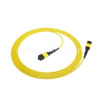 China 8F 12F 16F 24F MPO MTP Male Female SM Fiber Optical Breakout Cable Fiber Optic Patchcord/Optical Fiber Patch Cable/Optical Fiber Trunk Cable/Optic Fiber Fanout Cable with Steel Armoured Armored tube for sale