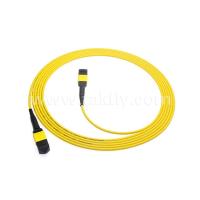 China 8F 12F 16F 24F MPO MTP Male Female SM Armoured Armored Fiber Optical Breakout Cable Fiber Optic Patchcord/Optical Fiber Patch Cable/Optical Fiber Trunk Cable/Optic Fiber Fanout Cable for sale