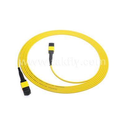 China 8F 12F 16F 24F MPO MTP Male Female SM Armoured Armored Fiber Optical Breakout Cable Fiber Optic Patchcord/Optical Fiber Patch Cable/Optical Fiber Trunk Cable/Optic Fiber Fanout Cable for sale