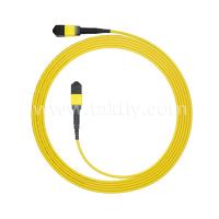 China MPO MTP Male Female SM Armoured Armored Fiber Optical Breakout Cable Fiber Optic Patchcord/Optical Fiber Patch Cable/Optical Fiber Trunk Cable/Optic Fiber Fanout Cable with Low Insertion Loss for sale