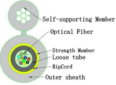 China Small 8 Type Optical Cable GJYXTC8Y-12X for sale
