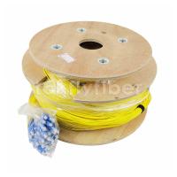 China 48 Cores G657A OS2 Pre-terminated Breakout Cable Fanout Pigtail with Customized Length for FTTH Data Center for sale