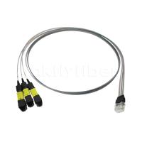 China 3x12F MTP - 36CH Fiber Array FA Assembly with High Transmission Rate Low Consumption and High Stability and Reliability for sale