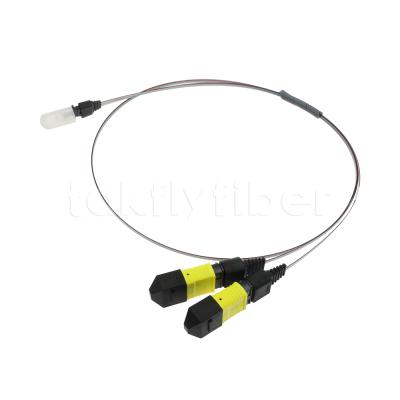 China 2x8F MTP-16CH FA Fiber Array Components for High-speed Transceiver CPO OCS Data Center Application for sale