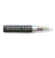 China GYTS-48X 48 Core Outdoor Fiber Optic Cable, Loose Tube Stranded, Steel Central Strength Member, Double-Sided Coated Steel Tape Armored, PE Outer Sheath, Duct/Aerial/Direct Burial for sale