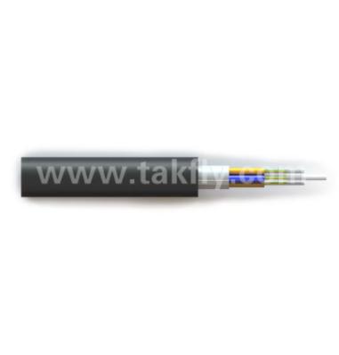 China GYTS-48X 48 Core Outdoor Fiber Optic Cable, Loose Tube Stranded, Steel Central Strength Member, Double-Sided Coated Steel Tape Armored, PE Outer Sheath, Duct/Aerial/Direct Burial for sale