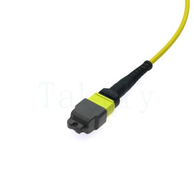 China 12F MTP(M) – MTP(F) APC Patch Cord, SM G657A1, 1m, 3.0mm, LSZH Yellow, Bend-insensitive Boot, Low Loss for sale