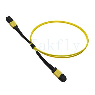 China 12-Core MPO APC Fanout Patch Cord – Male to Female, Low Loss for sale