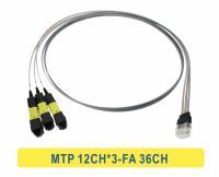 China 3*12F MTP to 36CH  FA Fiber Array Fiber Optic Patchcord Cable for sale