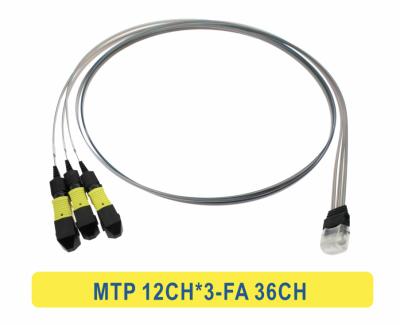 China 3*12F MTP to 36CH  FA Fiber Array Fiber Optic Patchcord Cable for sale