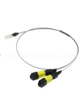 China MTP-16CH-FA Fiber Array Assembly – MTP Connector to 16-Channel V-Groove Fiber Array, Low Insertion Loss, for High-Speed Optical Transceivers & CPO/Data Center Applications for sale