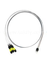 China MTP 12CH×3 to 36-Channel Fiber Array Assembly – 3×12CH MTP Connectors to 36CH V-Groove FAU, Low Insertion Loss, for 1.6T Optical Transceivers & Co-Packaged Optics (CPO) for sale