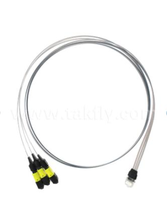 China MTP 12CH×3 to 36-Channel Fiber Array Assembly – 3×12CH MTP Connectors to 36CH V-Groove FAU, Low Insertion Loss, for 1.6T Optical Transceivers & Co-Packaged Optics (CPO) for sale