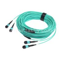 China 24-Core MPO/PC Mini Trunk Patch Cord – OM3 Multimode, 2×MPO Input to 2×MPO Output, Low Insertion Loss, for High-Density Data Center & 40G/100G SR4 Applications for sale