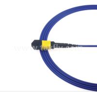 China Armored MPO/MTP Patch Cord – Robust Metal Sheath, Prevents Rodent Damage & Crushing, for FTTA / Industrial / Mining for sale