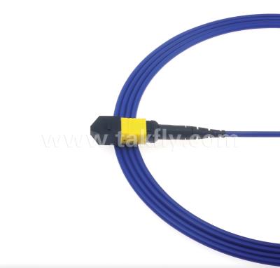 China Armored MPO/MTP Patch Cord – Robust Metal Sheath, Prevents Rodent Damage & Crushing, for FTTA / Industrial / Mining for sale