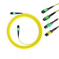 China MPO MTP Patchcord SM Trunk Cable 12F Fiber Optic for Data Center AI Telecom FTTX Cabling for sale