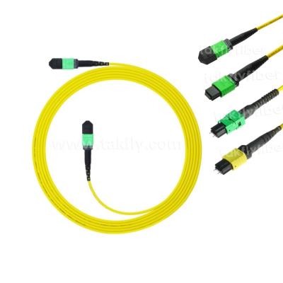 China MPO MTP Patchcord SM Trunk Cable 12F Fiber Optic for Data Center AI Telecom FTTX Cabling for sale