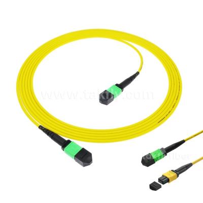 China MPO MTP Patchcord SM Trunk Cable 24F Fiber Optic for Data Center AI Telecom FTTX Cabling for sale