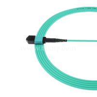 China MPO MTP Patchcord Multimode OM3 Trunk Cable 12F Fiber Optic for Data Center AI Telecom Cabling for sale