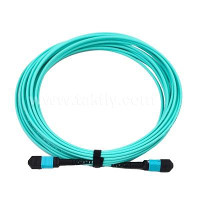 China MPO MTP Patchcord Multimode OM3 Trunk Cable 24F Fiber Optic for Data Center AI Telecom Cabling for sale