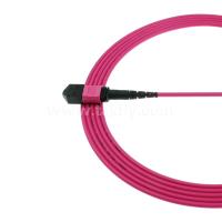China MPO MTP Patchcord Multimode OM4 Trunk Cable 24F Fiber Optic for Data Center AI Telecom Cabling for sale