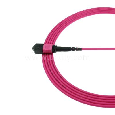 China MPO MTP Patchcord Multimode OM4 Trunk Cable 24F Fiber Optic for Data Center AI Telecom Cabling for sale