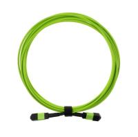 China MPO MTP Patchcord Multimode OM5 Trunk Cable 24F Fiber Optic for Data Center AI Telecom Cabling for sale