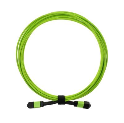 China MPO MTP Patchcord Multimode OM5 Trunk Cable 24F Fiber Optic for Data Center AI Telecom Cabling for sale