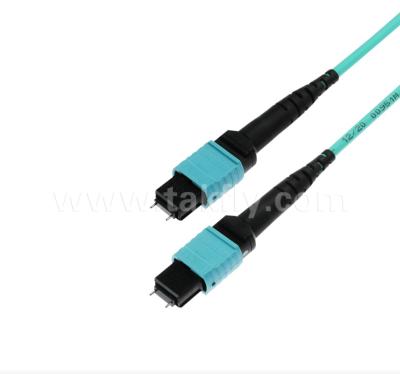 China MPO/MTP 16-Fiber OM4 Trunk Cable – High-Density, Low Insertion Loss for Hyperscale Data Centers (40G/100G/400G Ready) for sale