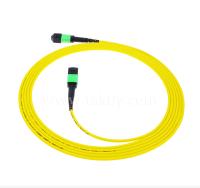 China MPO/MTP Single-mode (SM) Patch Cord – 4C to 72C, High-Density Multi-fiber Trunk for 40G/100G/400G Networks for sale