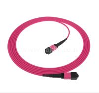 China MPO/MTP OM4 Patch Cord – High-Density Multimode Connectivity for Next-Gen Data Centers for sale