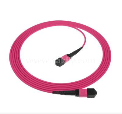 China MPO/MTP OM4 Patch Cord – High-Density Multimode Connectivity for Next-Gen Data Centers for sale