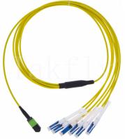 China MPO to CS Breakout Patch Cord – High-Density Multi-fiber to CS Uniboot, 4/8/12/16/24F, Low Insertion Loss for Data Centers for sale