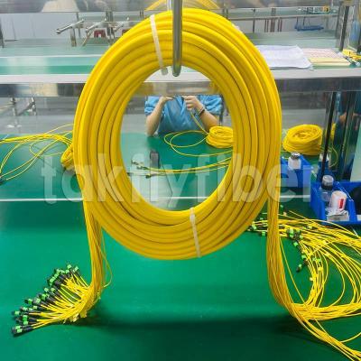 China Takfly MPO/MTP Patch Cord 8/12/24 Cores up to 576 Cores Low Loss 500 Mating Cycles IEC & TIA Compliant for sale