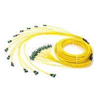 China Amphenol Customized 288 Fibers 0.35dB Max Insertion Loss Singlemode OS2 MPO Trunk Cable for Data Center for sale