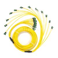 China High-density Optical Network Customized 12F MPO Trunk Cable, 12-576 Fibers, Single Mode (OS2), 0.35dB Max for sale