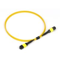 China 12 Cores MPO Fiber Optic Patch Cable With ROHS CE REACH CPR Compliant for sale