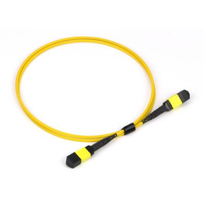 China 12 Cores MPO Fiber Optic Patch Cable With ROHS CE REACH CPR Compliant for sale