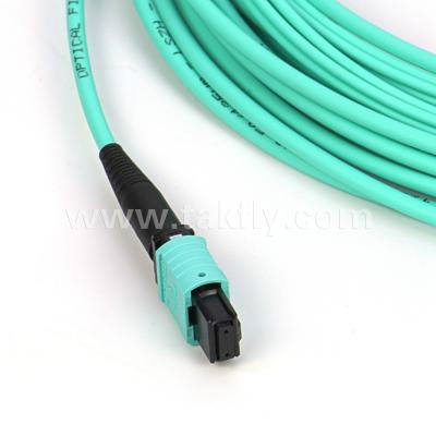 China Multi Mode Fiber Optic Cable 12/24 Cores Mpo Mtp Om3 for Data Center Application for sale