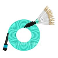 China LSZH MPO-LC Fanout Cable with 50/125um Multimode Fiber and Low Insertion Loss MPO Fiber Optic Patch Cord for sale